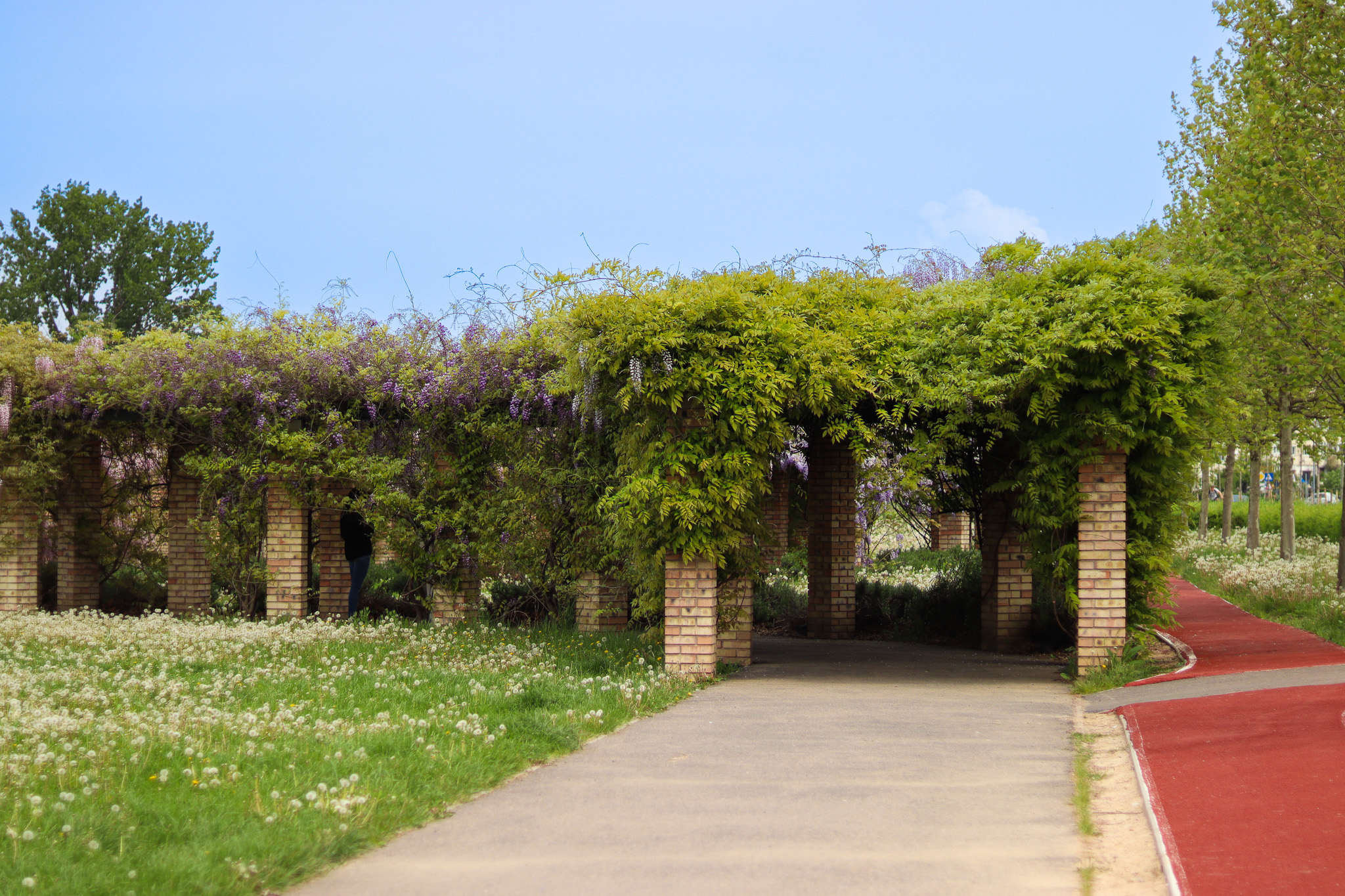 Parcul Salca din Oradea | Info, Știri, Evenimente